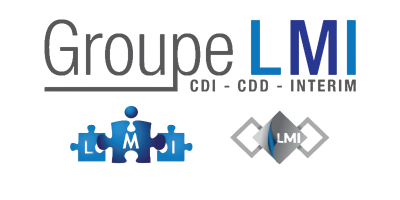 Le Groupe LMI - Groupe LMI